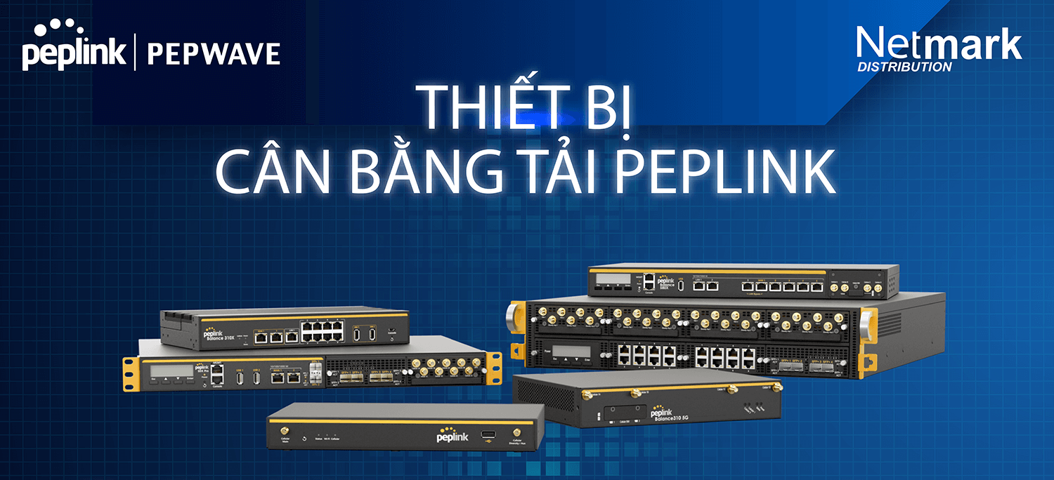 Cân bằng tải Peplink | Peplink Load Balance